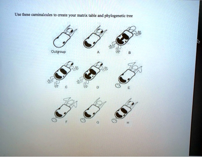 SOLVED: Use these caminalcules to create your matrix table and ...