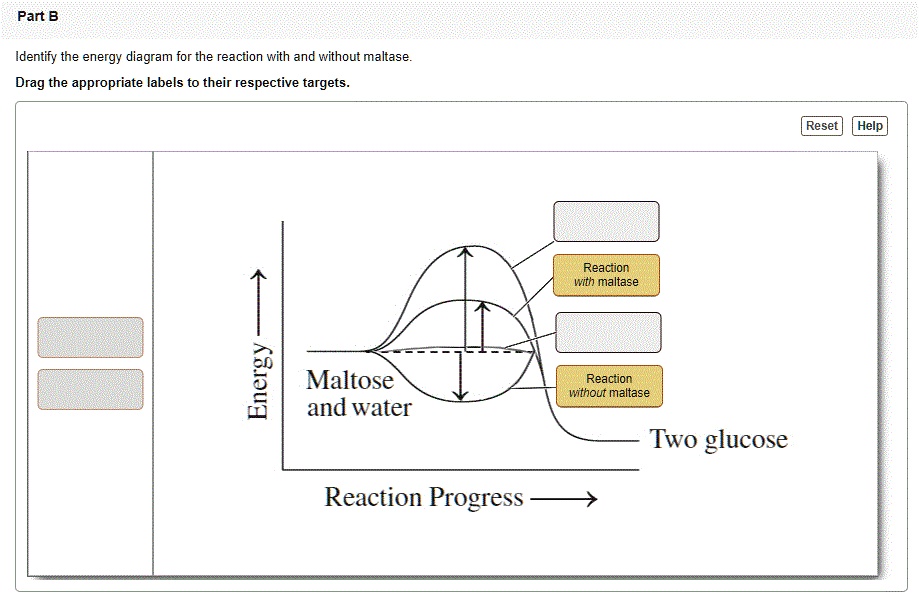SOLVED: Part B Identify the energy diagram for the reaction with and ...