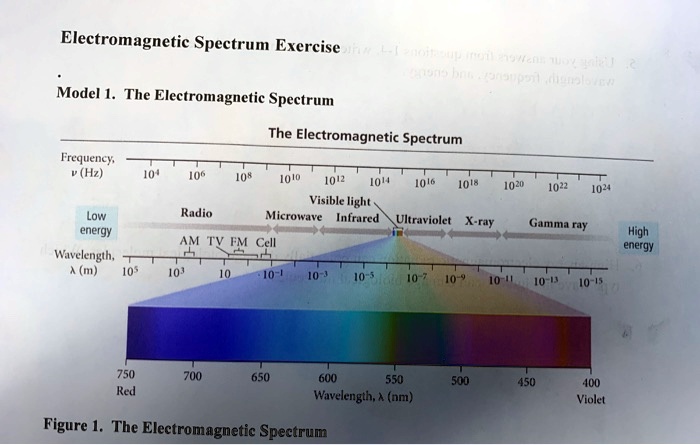 SOLVED: Electromagnetic Spectrum Exercise . '; | . . | Model The ...