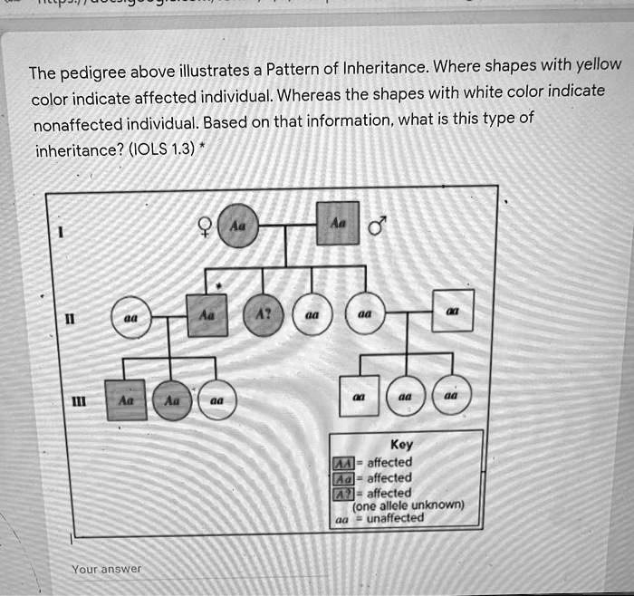 SOLVED:The pedigree above illustrates a Pattern of Inheritance. Where ...