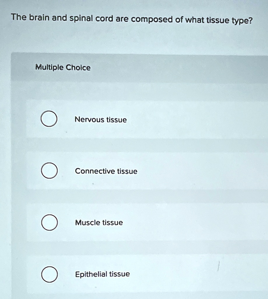the brain and spinal cord are composed of what tissue type multiple ...