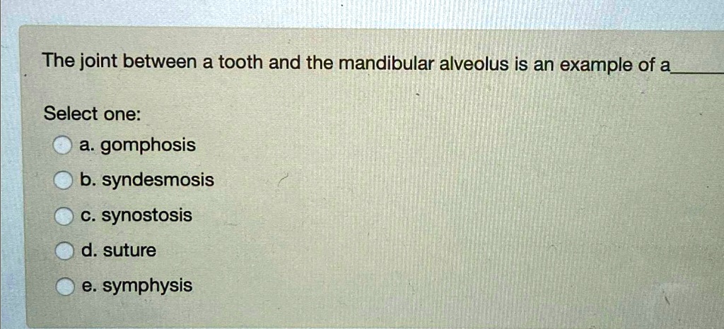 The joint between a tooth and the mandibular alveolus is an example of ...