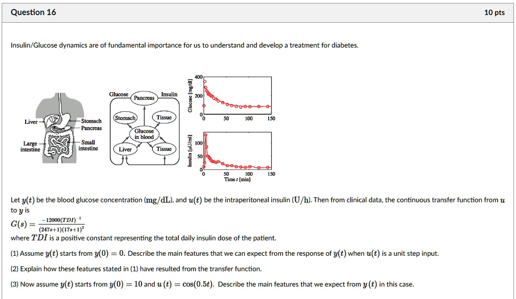SOLVED: Question 16 10 pts Insulin/Glucose dynamics are of fundamental ...