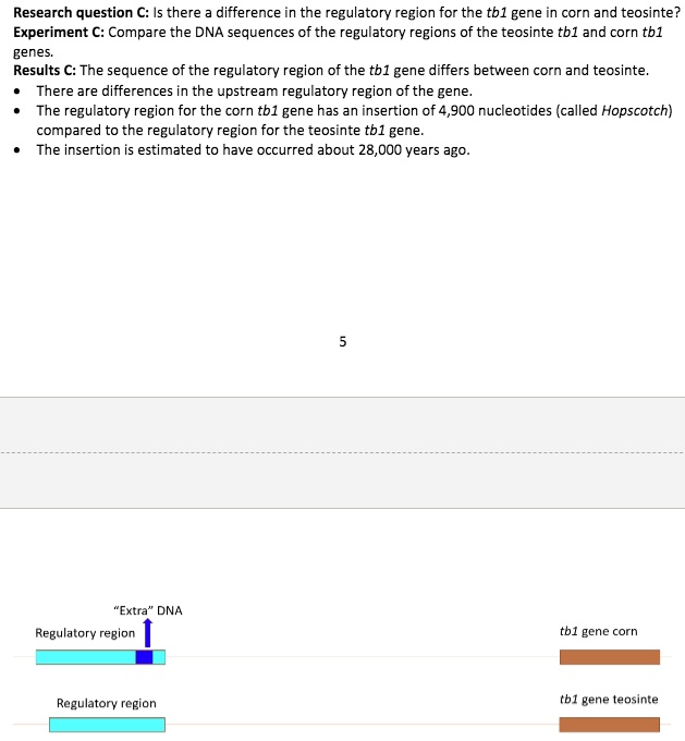 Research question C: Is there a difference in the regulatory...
