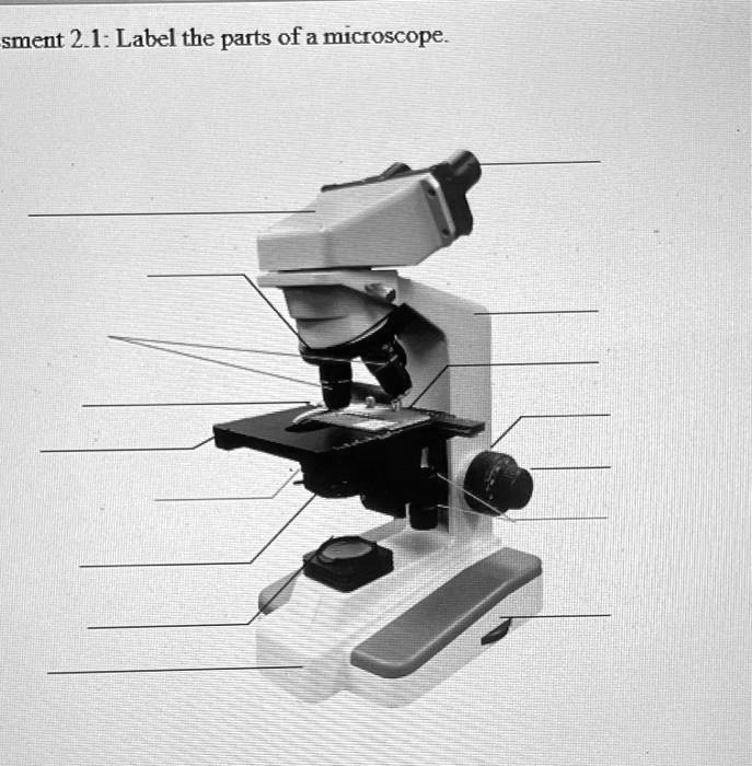 SOLVED: Section 2.1: Labeling the Parts of a Microscope A microscope is ...