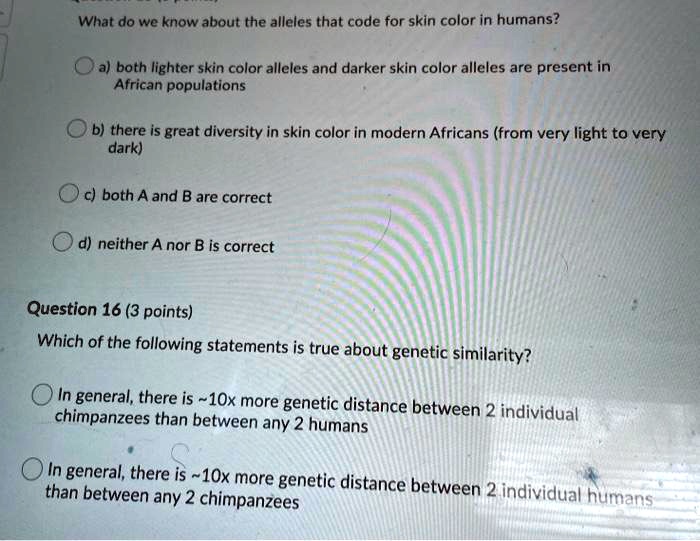 What do we know about the alleles that code for skin color in humans? a ...