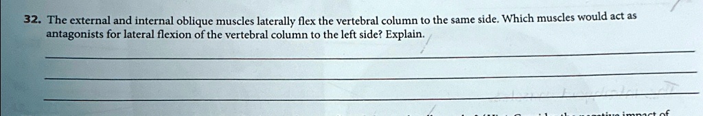 the external and internal oblique muscles laterally flex the vertebral ...