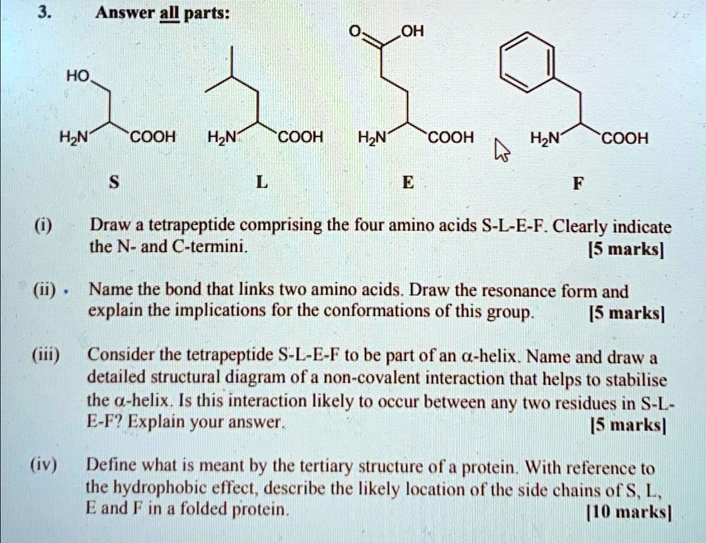 SOLVED: The text provided appears to be a set of questions related to biochemistry and protein ...