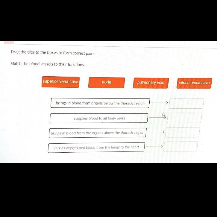 SOLVED: Match the blood vessels to their function Drag the tiles to the ...