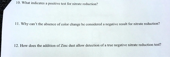 What indicates positive test for nitrate reduction? Why can the absence ...