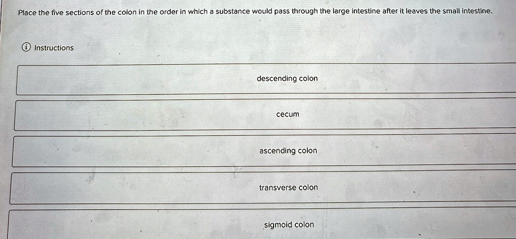 Place the five sections of the colon in the order in which a substance ...