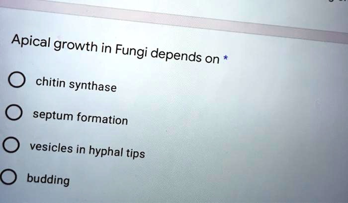 SOLVED: Apical = growth in Fungi depends on chitin synthase septum ...