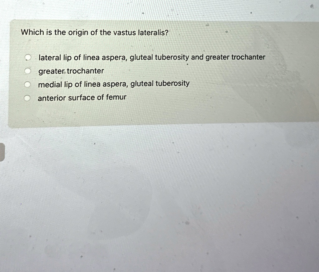 Which is the origin of the vastus lateralis? lateral lip of linea ...