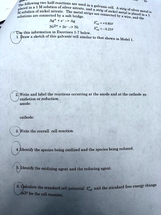 following half reactions used in placed m solution of silver nitrate ...