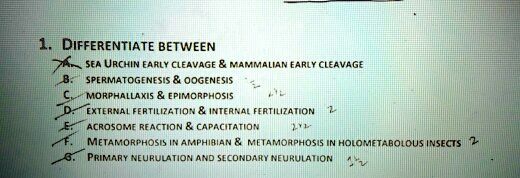 SOLVED: Differentiate between Sea Urchin Early Cleavage, Mammalian ...