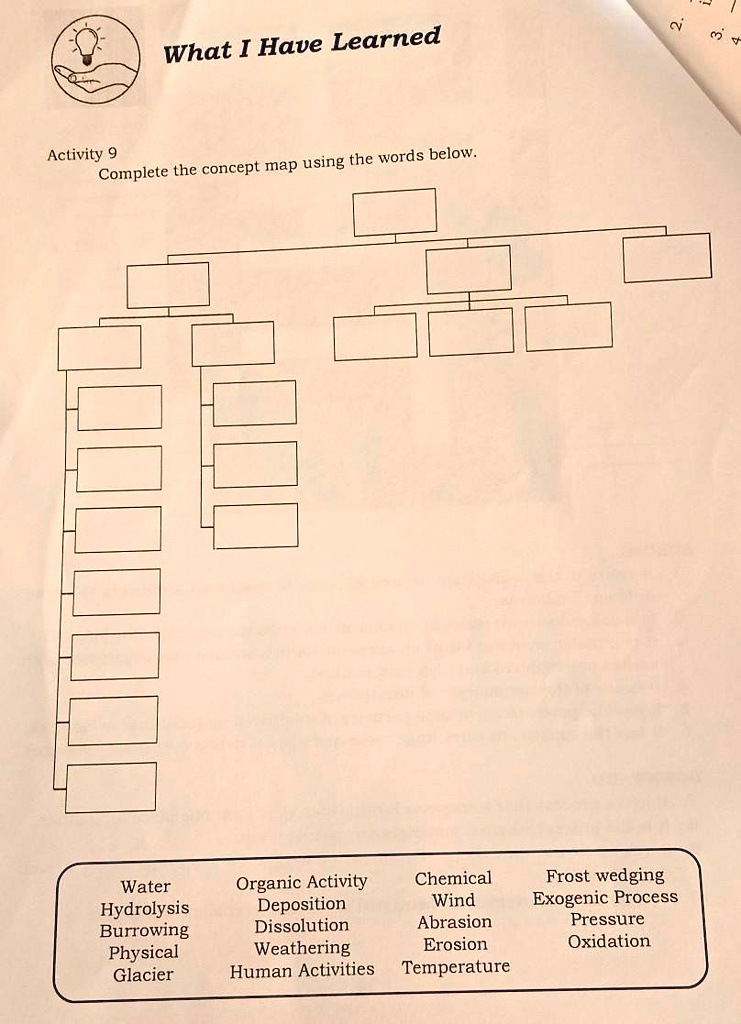SOLVED: 'Complete the concept map using the words below. What I Have ...
