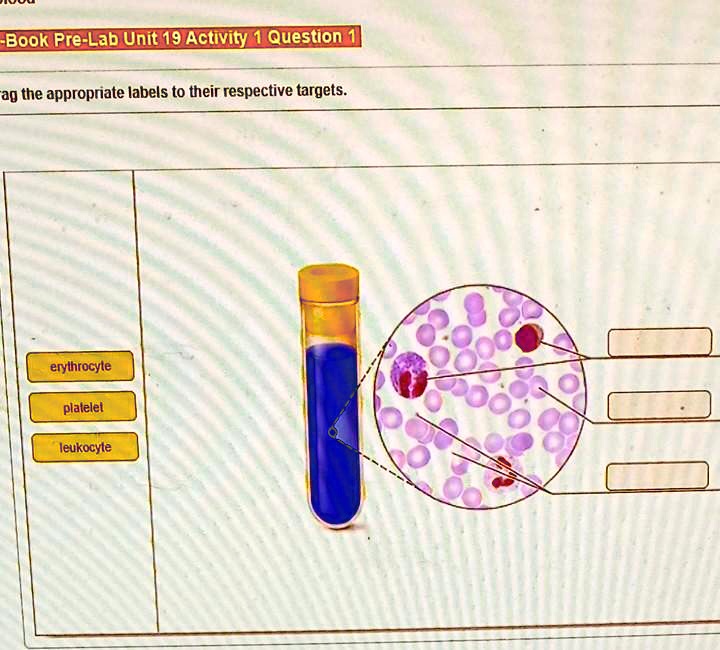 SOLVED: Book Pre-Lab Unit 19AActivity 1 Question ag the appropriate ... SOLVED: Book Pre-Lab Unit 19AActivity 1 Question ag the appropriate ...