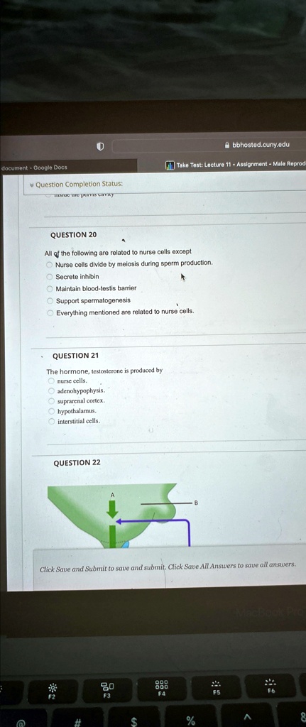 SOLVED: The text appears to be formatted and presented correctly. No ...