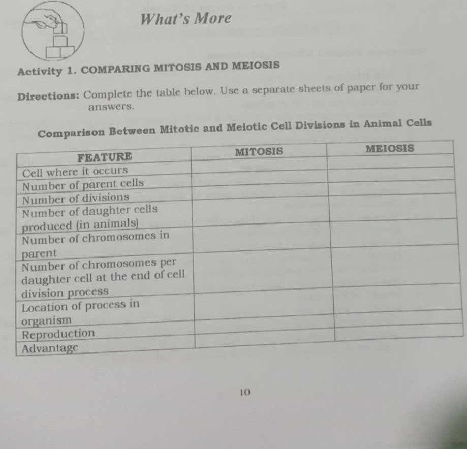 whats more activity 1 comparing mitosis and meiosis directions complete the table below use a ...