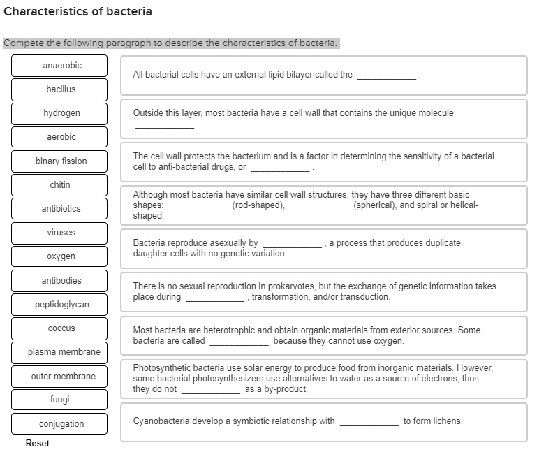 SOLVED: Characteristics of Bacteria Complete the following paragraph to ...