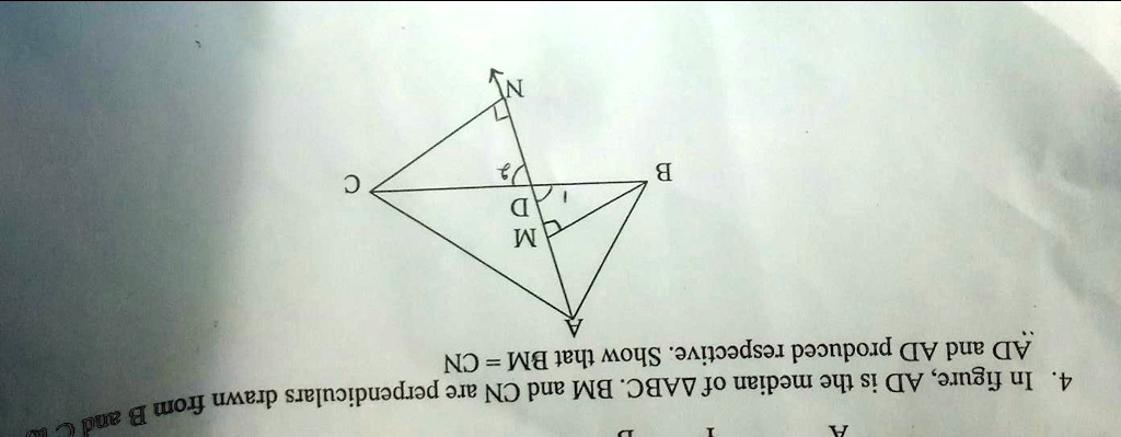 SOLVED: In the figure, AS is the median of triangle ABC. BM and CN are perpendicular lines drawn ...
