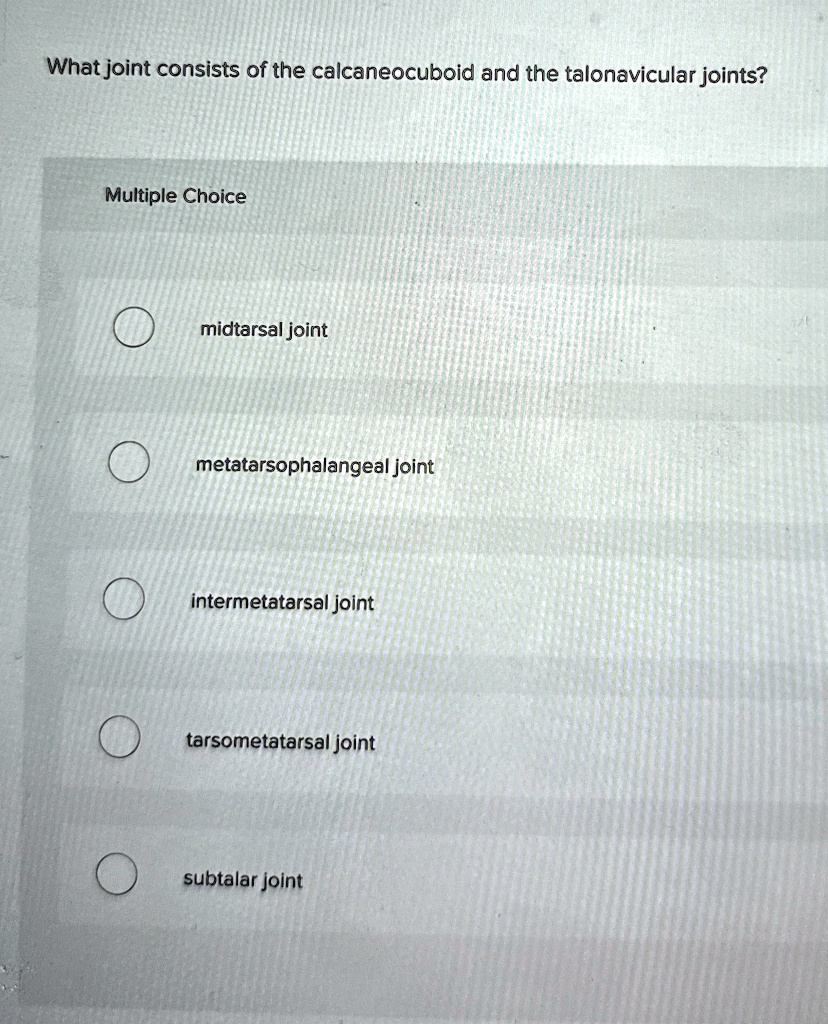 What joint consists of the calcaneocuboid and the talonavicular joints ...