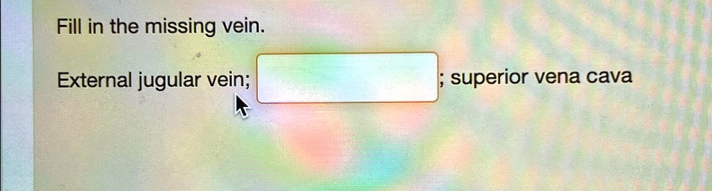 Fill in the missing vein. External jugular vein; ; superior vena cava