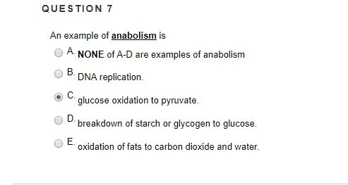 An example of anabolism is DNA replication. Glucose oxidation to ...