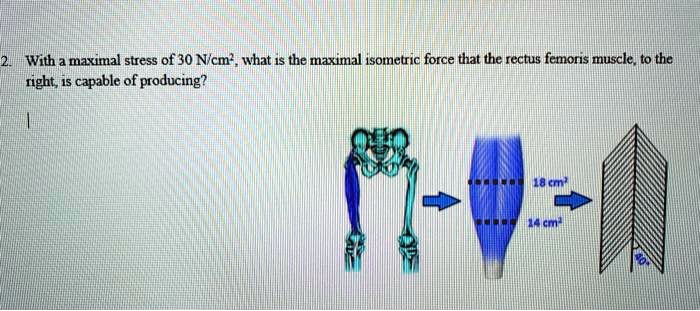 SOLVED: With a maximal stress of 30 N/cmÂ², what is the maximal ...