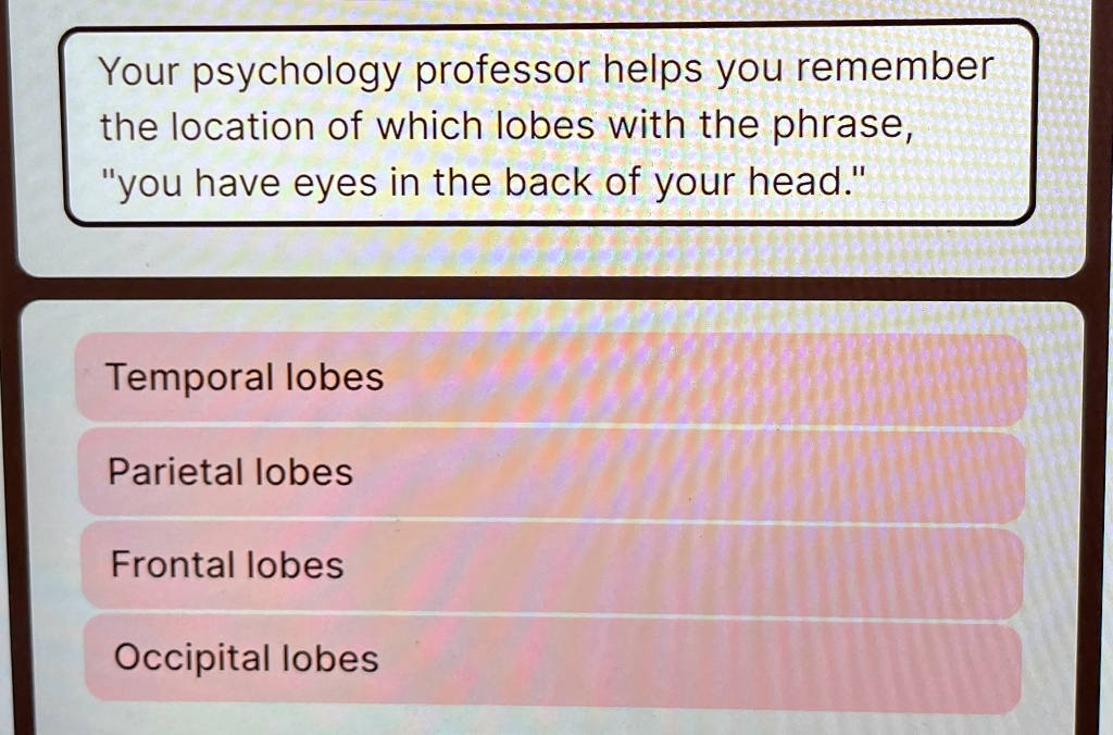 your psychology professor helps you remember the location of which ...