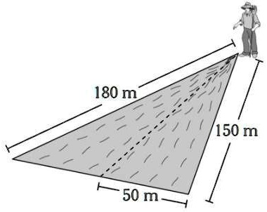 SOLVED: Don Jose tiene un terreno de forma triangular al que lo ...