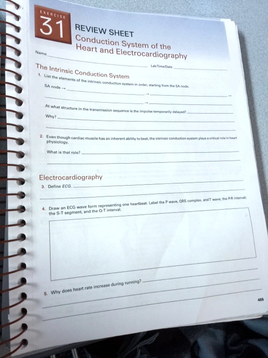 SOLVED: Ocid 31 RevIEW SHEET Conduction Heart " System of the and ...