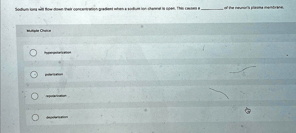 Sodium ions will flow down their concentration gradient when a sodium ...