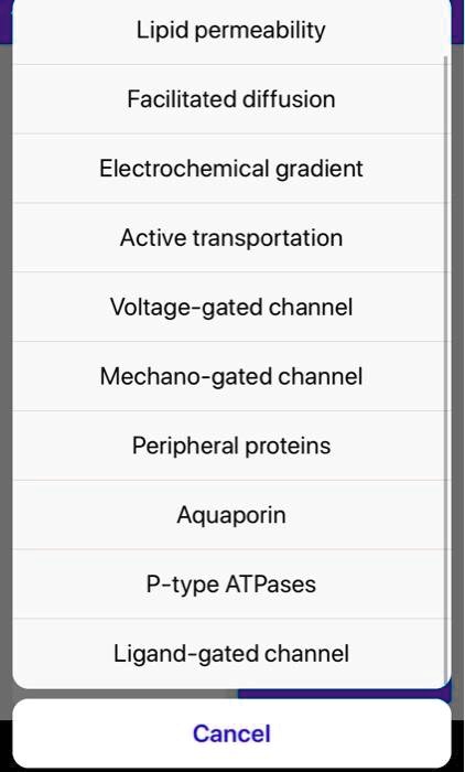lipid permeability facilitated diffusion electrochemical gradient ...