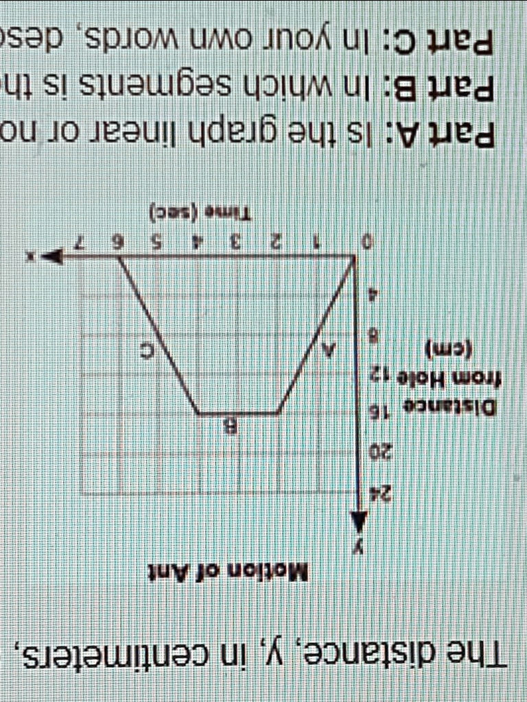 SOLVED: The distance, y, in centimeters, of an ant from a hole in the ...