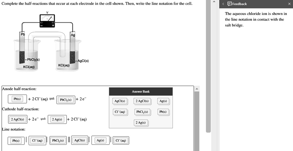 SOLVED: Complete the half-reactions that occur at each electrode in the cell shown. Then write ...