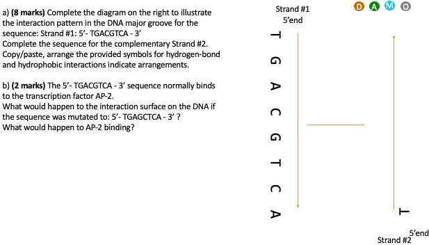a 8 marks complete the diagram on the right to illustrate the ...
