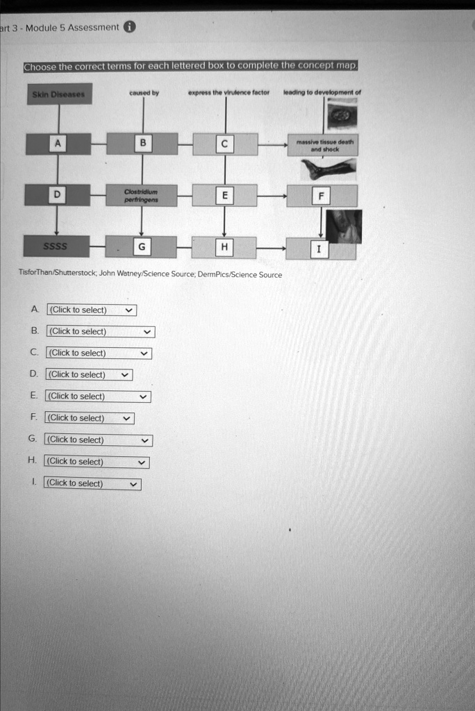 art 3 - Module 5 Assessment Choose the correct terms for each lettered box to complete the ...