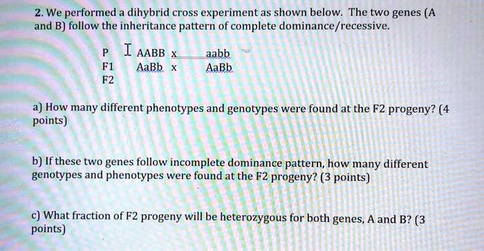 2 we performed a dihybrid cross experiment as shown below the two genes ...