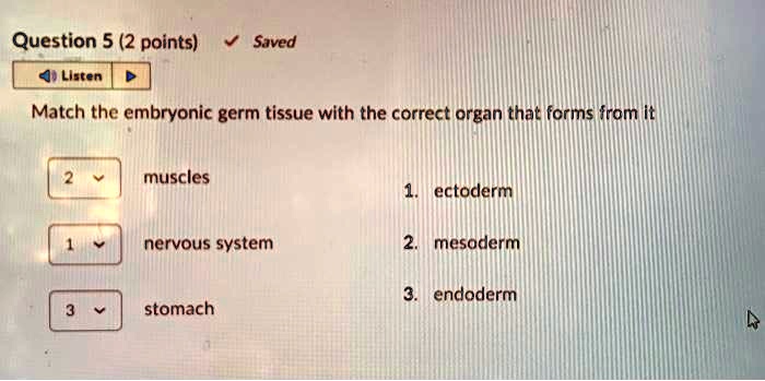 match the embryonic germ tissue with the correct organ that forms from ...