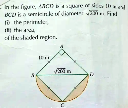 In the figure, ABCD is a square of sides 10 m and BCD is a semicircle ...