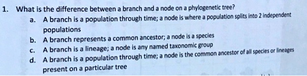 VIDEO solution: What is the difference between branch and node on ...