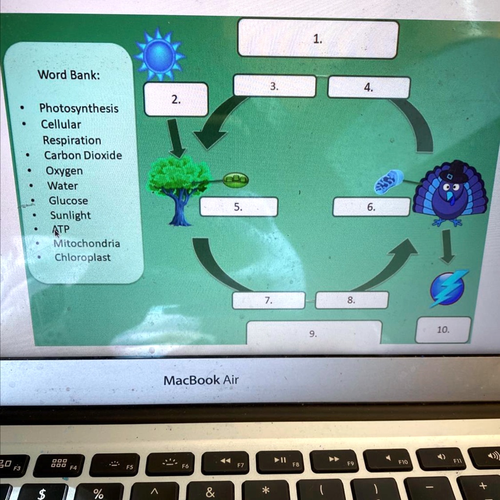 SOLVED: ' WORD BANK!! HELP WILL GIVE BRAINLIST!! LOOK AT IMAGINE 1 ...