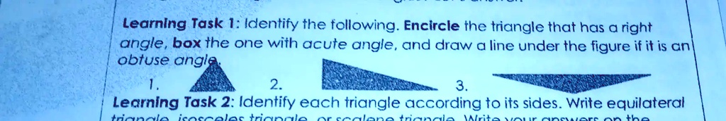 learnlng task 1 identify the following encircle the triangle that has a right angle box the one ...