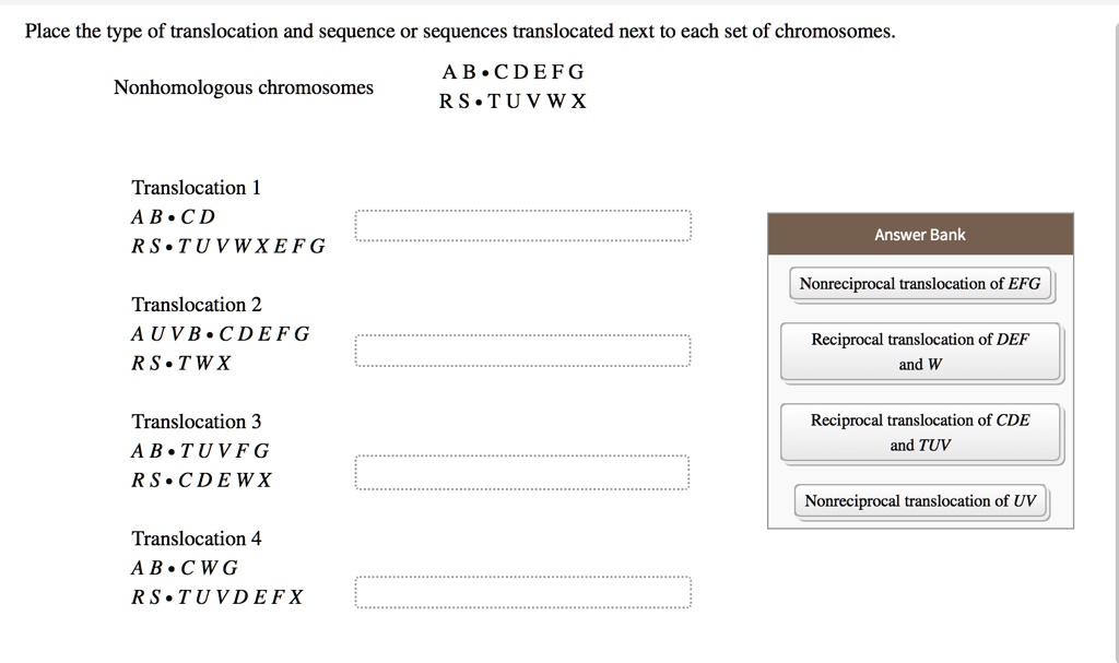 SOLVED: Place the type of translocation and sequence or sequences ...