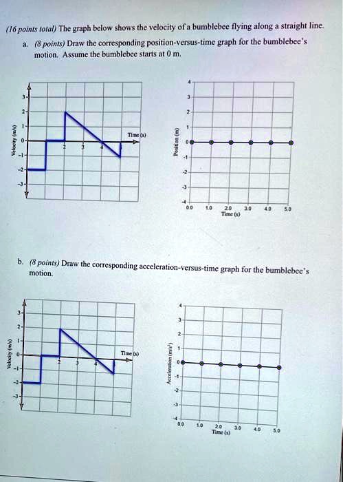 16 points ofal the gruph below shows the velocity of a bumblebee flying ...