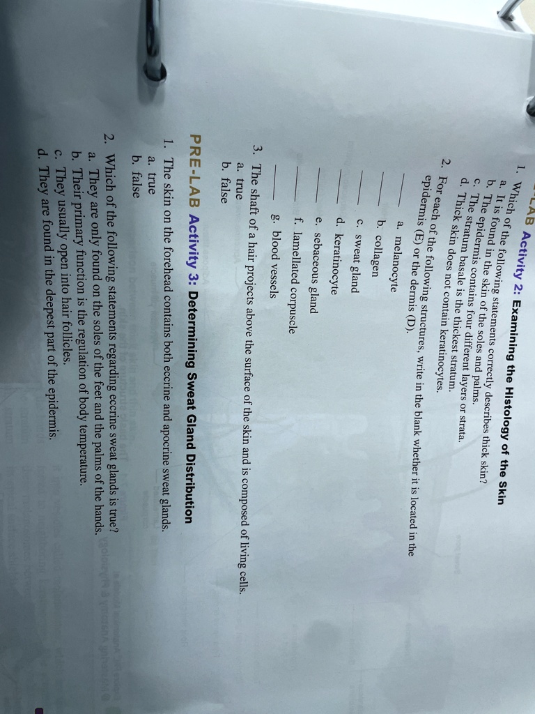 SOLVED: Pre-lab Unit 7: The Integumentary System 2. b. False a. True 2 ...