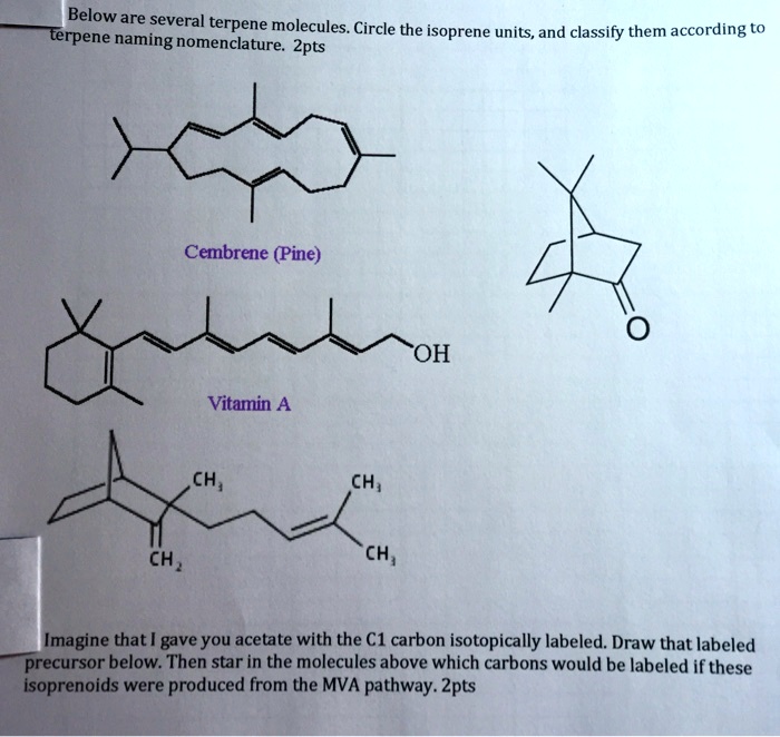 Below are several terpene molecules. Circle the isoprene units, and ...