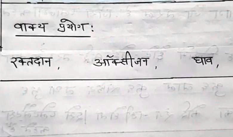 I actually cannot understand the meaning of vakya prayog...