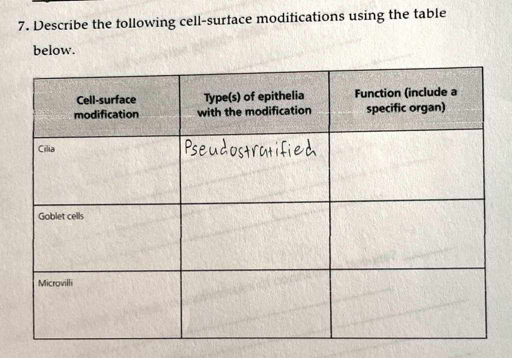 7. Describe the following cell-surface modifications using the table ...